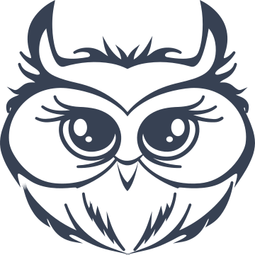Order Your Adorable Owl Face Sticker Today - Free Shipping!