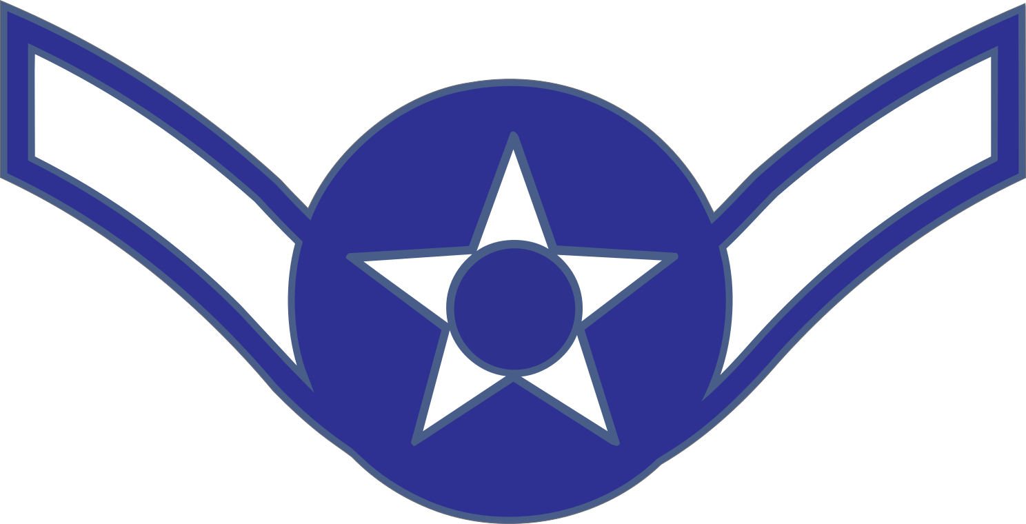 Air Force Rank E-2 Airman Sticker Shipped Fast & Free!