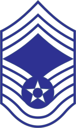 Air Force Rank E-9 Chief Master Sergeant Magnet Shipped Fast & Free!