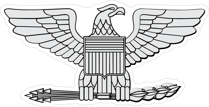 Air Force Rank O-6 Colonel Sticker