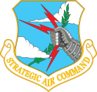 Air Force Strategic Air Command Sticker Shipped Fast & Free!