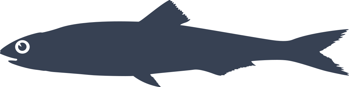 Anchovy Fish Sticker Shipped Fast & Free!