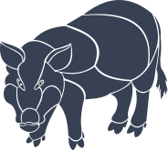 Order Your Angry Pig Sticker Today - Free Shipping!