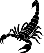 Angry Poised Scorpion Sticker