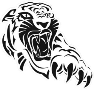 Tiger Car Stickers & Decals | Tiger Bumper Stickers