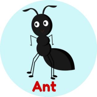 Fun Ant Car Stickers & Decals – No Minimum Order Requirements