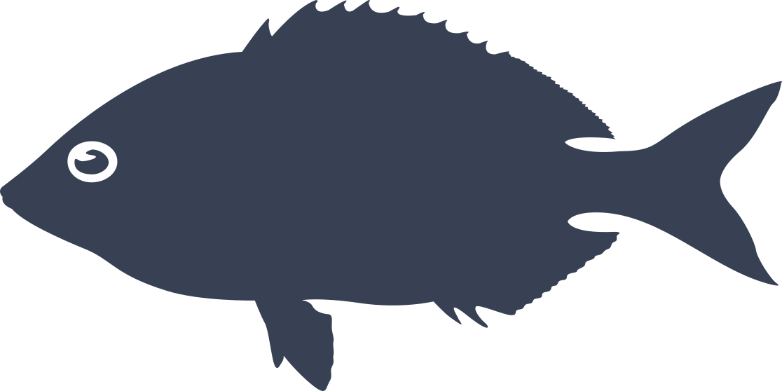 Annular Sea Bream Fish Sticker Shipped Fast & Free!