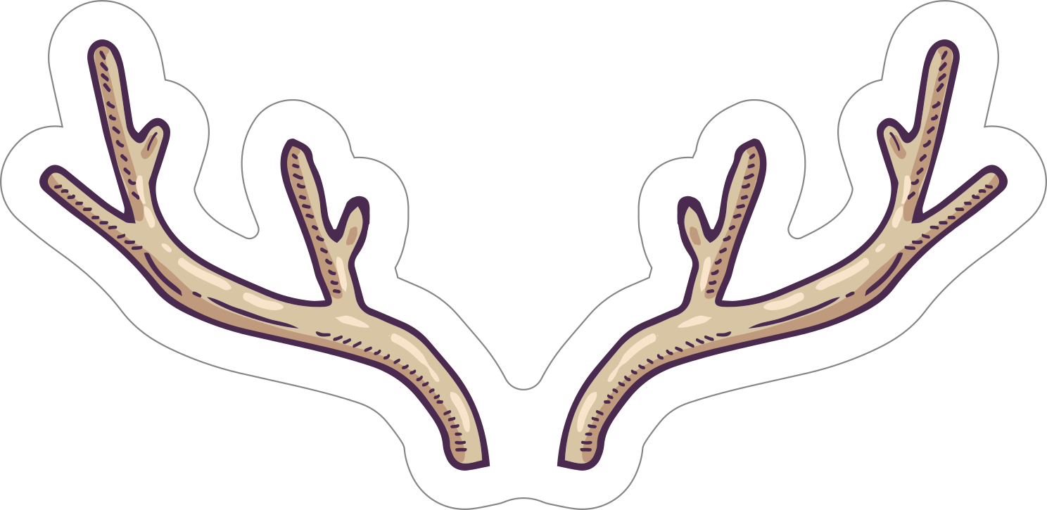Vibrant, High-Quality Antlers Boho Stickers