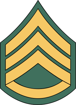 Army Rank E-6 Staff Sergeant Sticker Shipped Fast & Free!