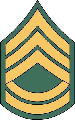 Army Rank E-7 Sergeant First Class Magnet Shipped Fast & Free!