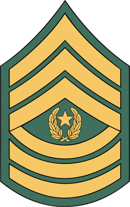 Army Rank E-9 Command Sergeant Major Sticker Shipped Fast & Free!