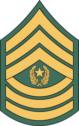 Removable Army Rank Magnets for Sale | Car Stickers