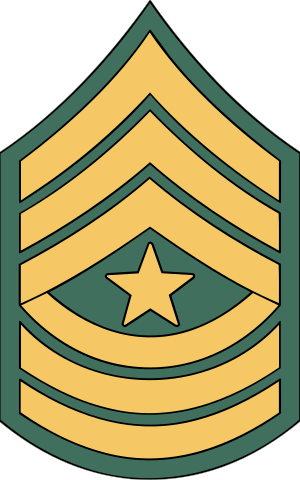 Army Rank E-9 Sergeant Major Sticker Shipped Fast & Free!