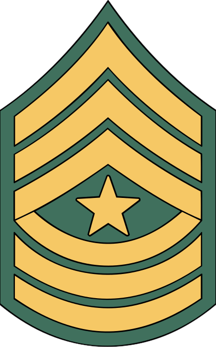 Army Rank E-9 Sergeant Major Sticker Shipped Fast & Free!