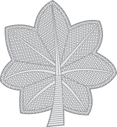 Army Rank O-5 Lieutenant Colonel Magnet - Fast Shipping & No Minimums