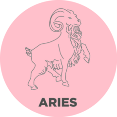 Astrological Sign Simple Aries Sticker