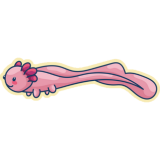 Axolotl Stickers & Decals | Free Shipping