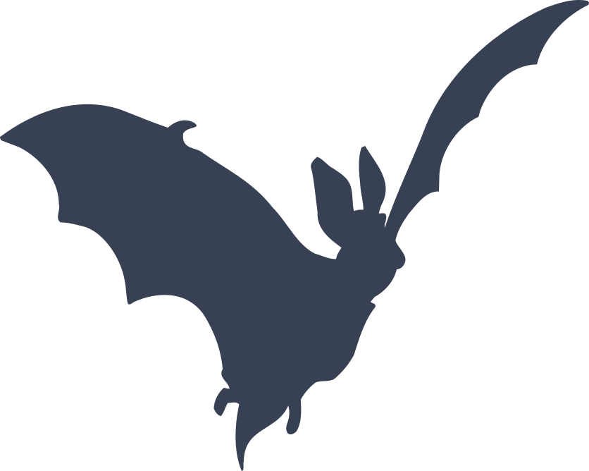 Order Your Bat Car Sticker Today - Free Shipping!