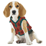 Beagle In Sweater Sticker