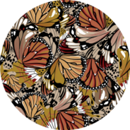 Beautiful Butterfly Wings Sticker