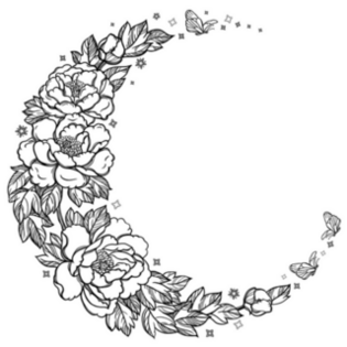 Moon Stickers & Decals – Dozens of Styles and Designs