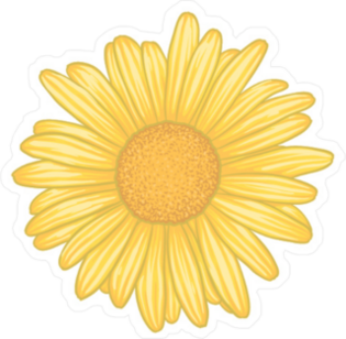 Daisy Flower Stickers & Decals - White, Yellow, & More