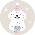 Birthday Maltese Sticker