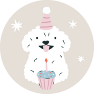 Birthday Maltese Sticker