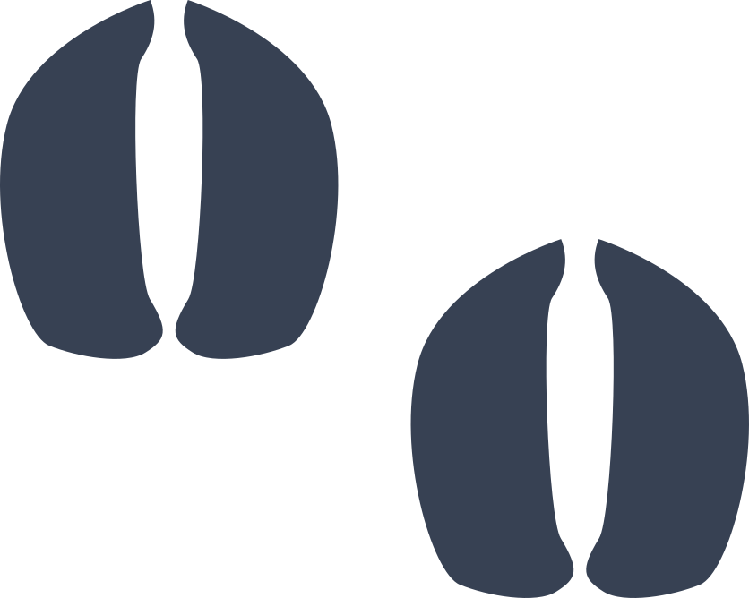 Vibrant, High-Quality Bison Hoof Footprints Stickers