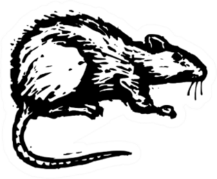 Cute Rat Vinyl Stickers & Decals | Car Stickers