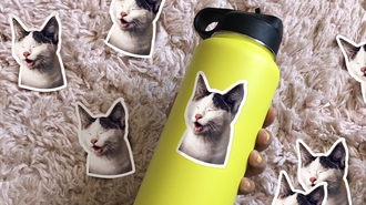 Cat Photo Stickers - Personalized Sticker of Your Cat