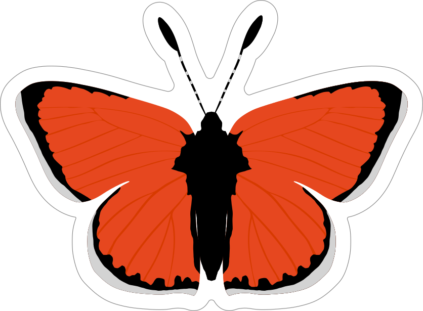 Blood Red Butterfly Sticker - 50+ Color Options!