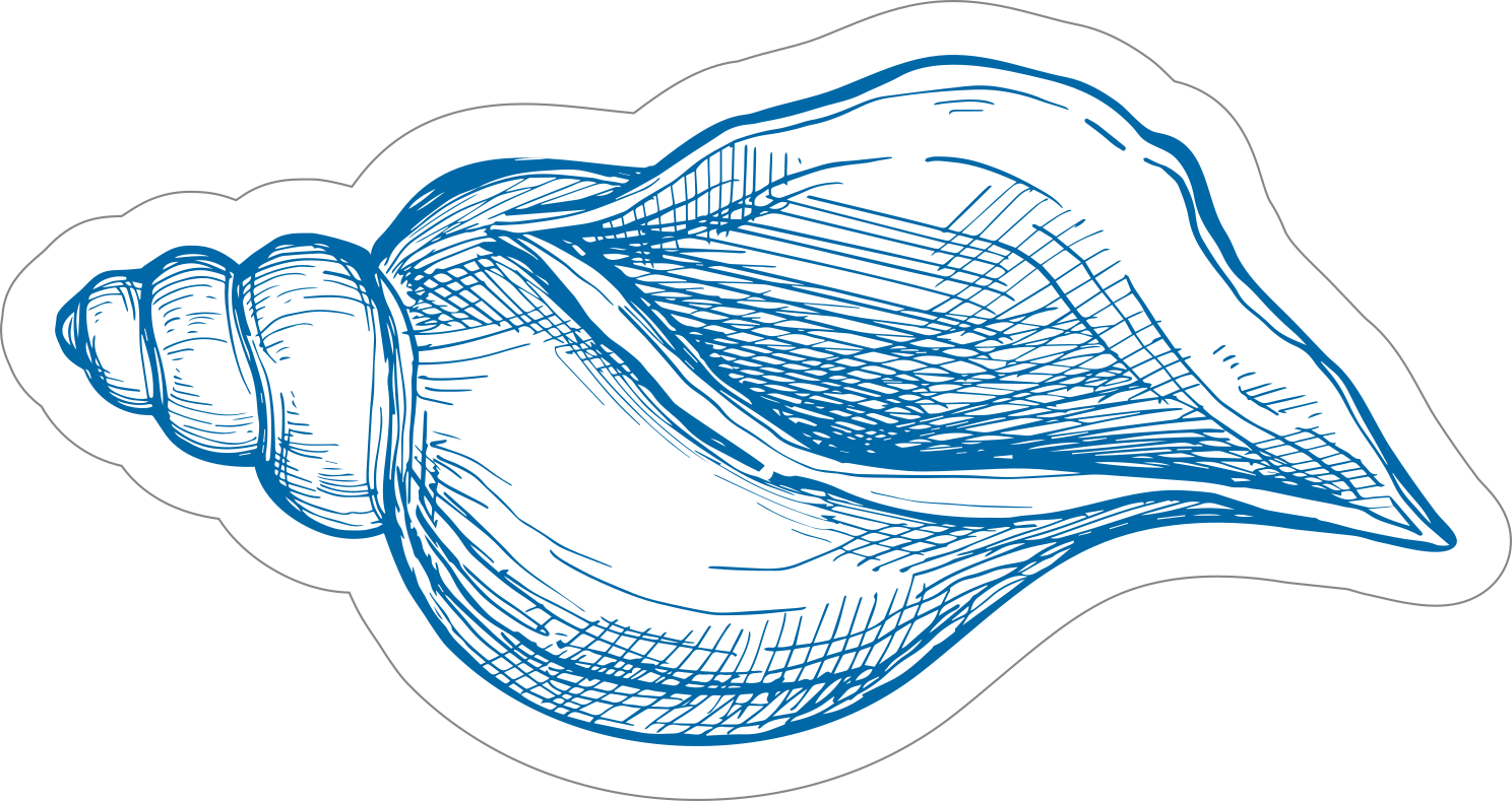 Vibrant, High-Quality Blue Hand Drawn Drill Shell Stickers