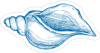 Vibrant, High-Quality Blue Hand Drawn Drill Shell Stickers