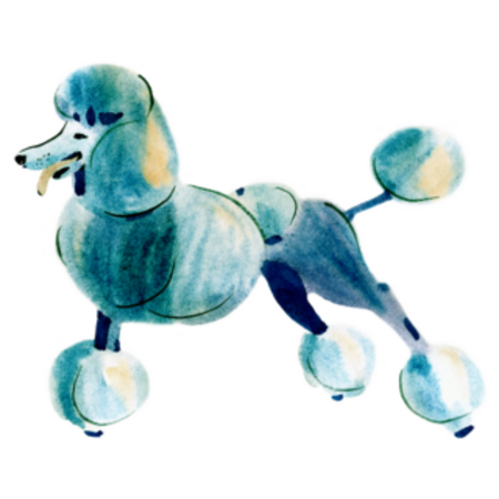 Blue Watercolor Poodle Sticker