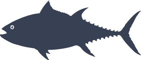 Bluefin Tuna Fish Fishing Sticker Shipped Fast & Free!