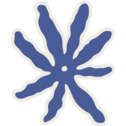 Boho Starfish Sticker