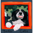 Border Collie Frame Sticker