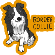 Border Collie Labeled Sticker