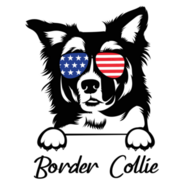 Border Collie USA Sticker