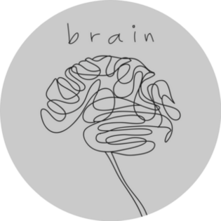 High-Quality Brain Stickers and Decals That Will Blow Your Mind!