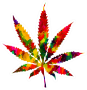 Bright Colored Marijuana Leaf Sticker
