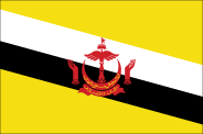 Order Your Brunei Country Flag Sticker Today - Free Shipping!