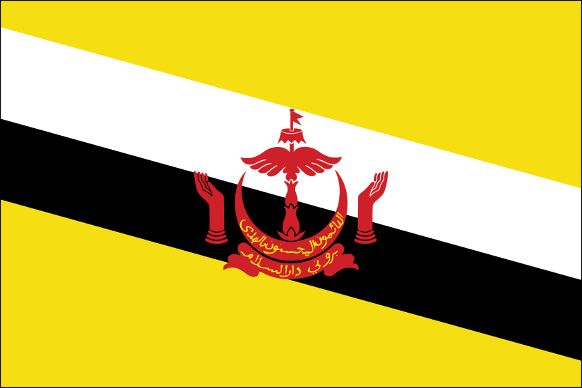 Order Your Brunei Country Flag Sticker Today - Free Shipping!