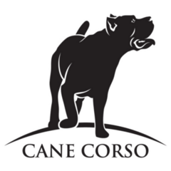 Cane Corso Logo Sticker