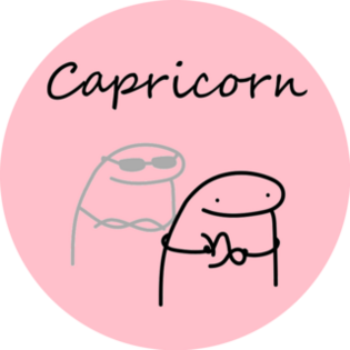 Capricorn Zodiac & Astrology Stickers & Car Decals