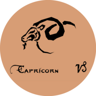 Capricorn Zodiac & Astrology Stickers & Car Decals
