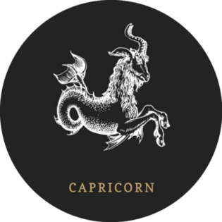 Capricorn Zodiac & Astrology Stickers & Car Decals