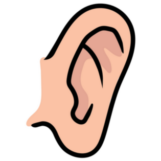 High Quality Ear Stickers & Decals - Free Shipping