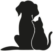 Cat And Dog Friends Sticker